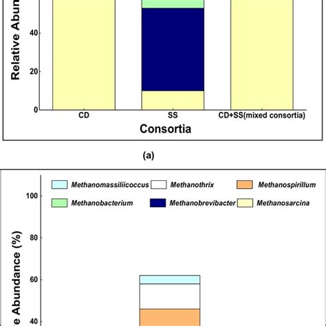 Bar Chart Representation Of Relative Abundance Of A Bacterial Phylum