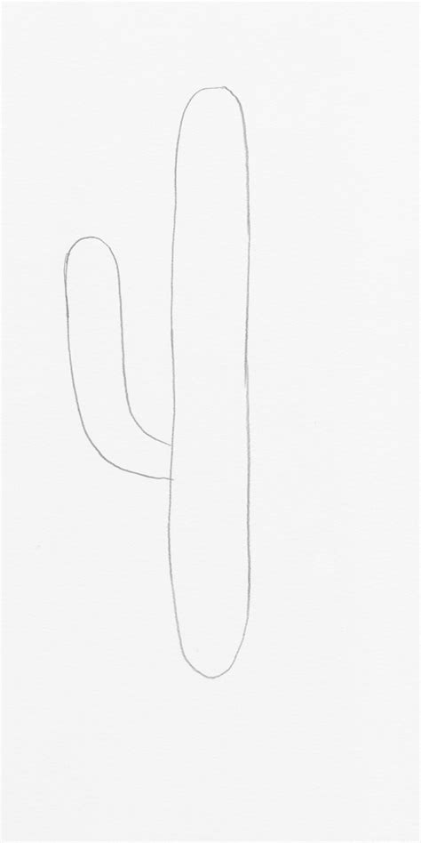 Learn How To Draw A Cactus In X Steps