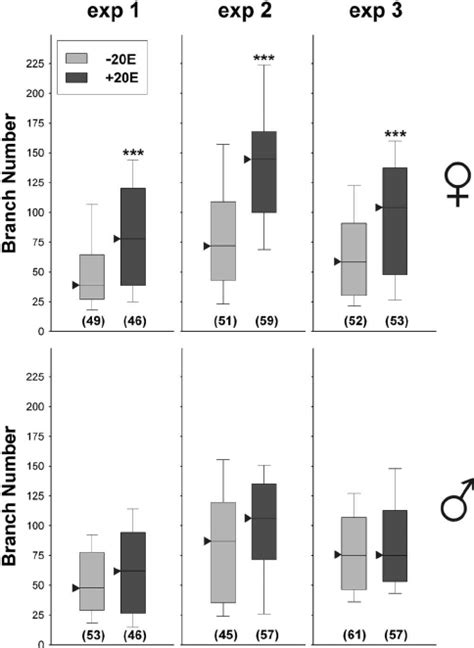 Computer Assisted Analysis Of Mb ␥ Neurons Demonstrates E74a Dependent Download Scientific