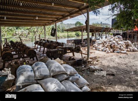 Artisanal And Illegal Gold Mining Using Mercury And Sodium Cyanide In Lombok Indonesia Asia