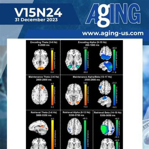 Stream Episode Age Related Alterations In The Oscillatory Dynamics Serving Verbal Working Memory