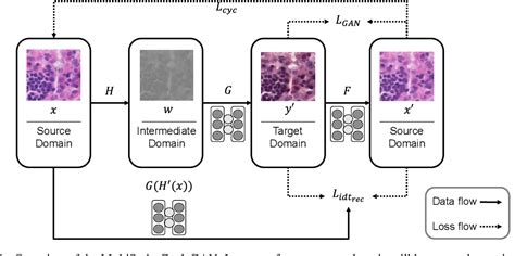 Figure 1 From Multi Domain Stain Normalization For Digital Pathology A