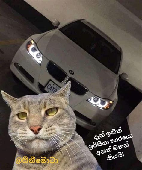 සීනී මොටා ඔව් ඇ