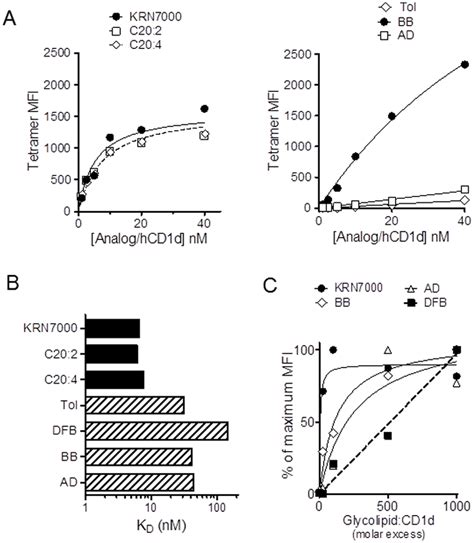 Characterization Of Human Inkt Cell Tcr Interactions With Analog Loaded Download Scientific