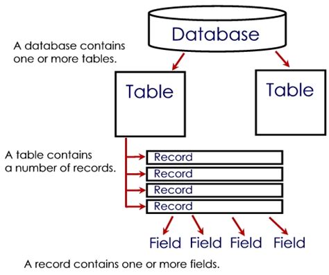 Terminal Learning Intro To Database Concepts