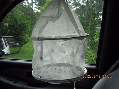 Surveillance South Walton County Mosquito Control District