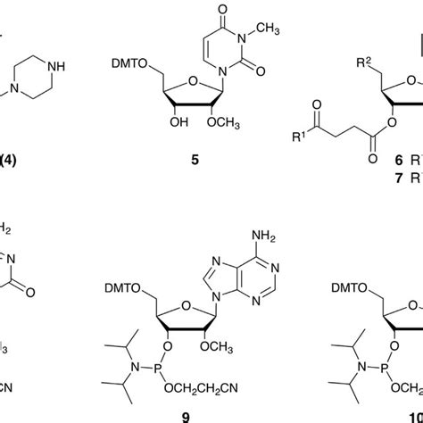 Building Blocks Used For RNA Assembly Download Scientific Diagram