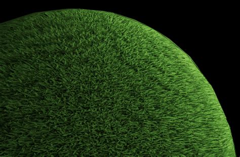 Check Out This Grass Shader I Made Runity3d