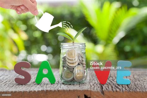 돈과 여자 손 잡아 급수 공장 수 및 나무 항아리에 공장 투자 개념 돈을 위해 돈을 절약 비즈니스 성장 0명에 대한 스톡 사진 및 기타 이미지 Istock