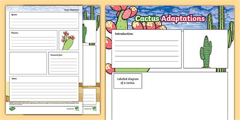 Cactus Adaptations Non Chronological Report Template