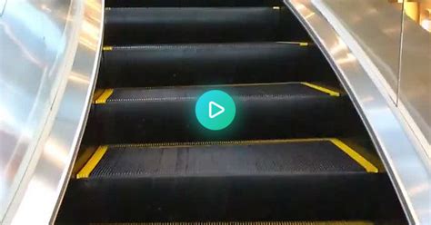 Is This What You Want Album On Imgur