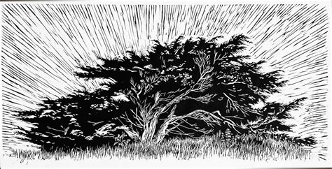 Rich Brimer [nm] Magnificent Monterey Cypress 2022 Salmagundi Club