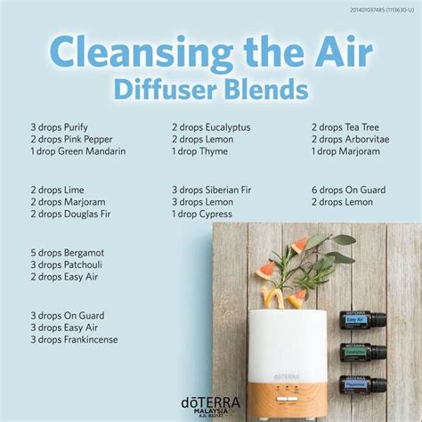 Clean Air Diffuser Blends