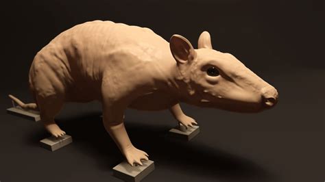 Online Course Sculpting Workflows In Maya From Pluralsight Class Central