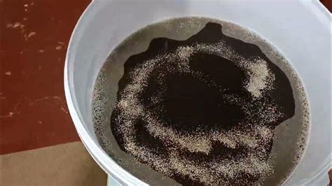 Медовуха из Каштанового мёда 🍯 Youtube