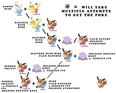 Breeding Diagram Perfect Ivs Natures Abilities Egg Moves Imgur