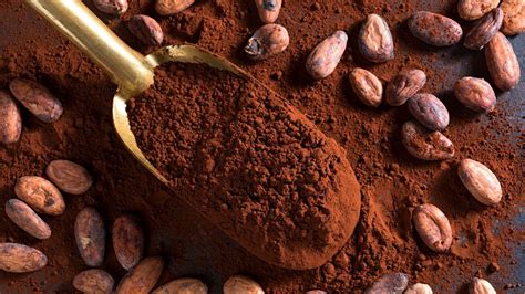 What Is The Difference Between Cocoa And Cacao