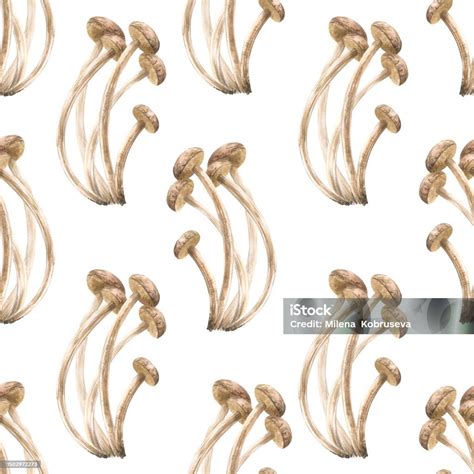 매끄러운 패턴 수채화 그림 꿀 곰팡이 버섯 흰색 배경에 격리되어 있습니다 Honey Fungus에 대한 스톡 벡터 아트 및 기타
