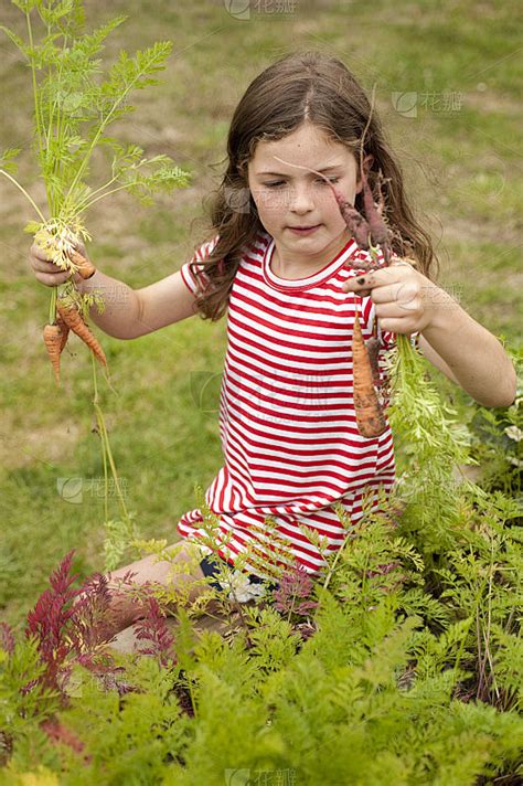 小女孩在菜园里摘胡萝卜