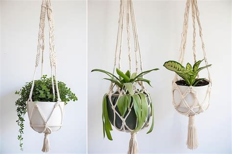 Premium Photo Diy Macrame Hanging Planter