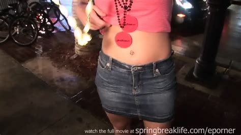 Key West Flasher Chicks