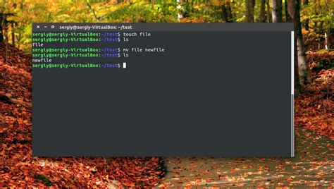 Как переименовать файл Linux Kovalets