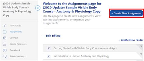 Creating Courseware Assignments Using Custom Content