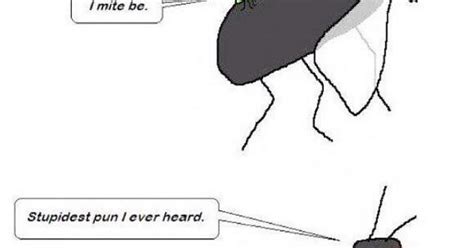 The Joy Of Puns Imgur