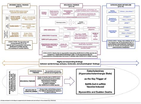 Summary Of The Rationale And Supporting Data For The Present Hypothesis Download Scientific