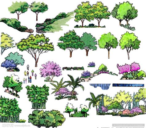 绿植设计图 图片素材 其他 设计图库 昵图网