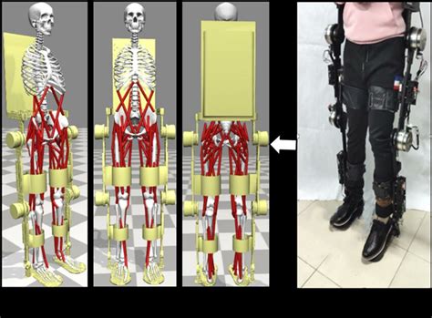 Model Structure Diagram Download Scientific Diagram
