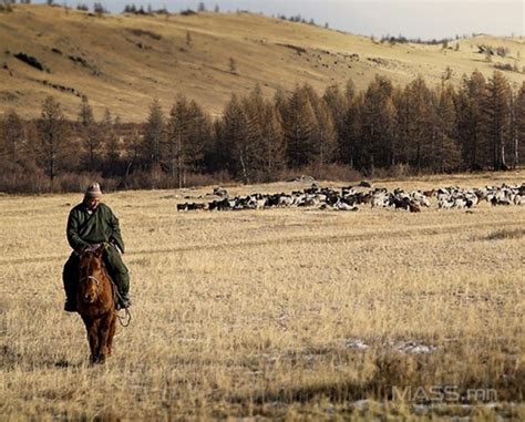 Малдаа яваад сураггүй болсон эрэгтэйг олжээ