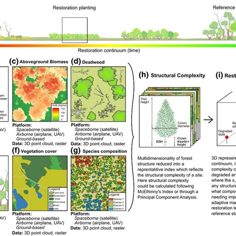 Monitoring Forest Structure To Guide Adaptive Management Of Forest Restoration A Review Of