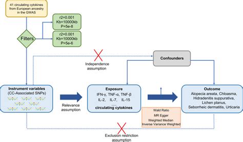 Genetically Predicted Levels Of Circulating Cytokines And The Risk Of Six Immune Skin Diseases