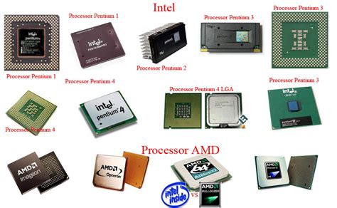 Types Of Processors Hot Sex Picture