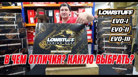 ВИНТОВЫЕ ПОДВЕСКИ LOWSTUFF КОЙЛОВЕРЫ EVO-I EVO-II EVO-III. В ЧЕМ ...