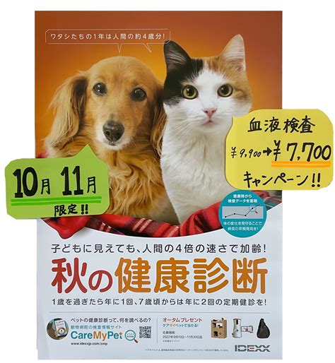 秋の健康診断キャンペーン 小金井市｜東小金井くりやま通り動物病院 夜間診療 東小金井駅 土日祝日も診療 トリミングサロン