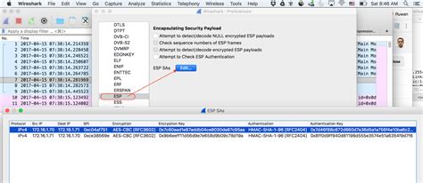 Ruwans Techno Blog Ipsec Capture With Decryption Information