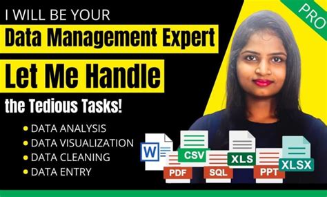 Do Your Data Entry Data Analysis Data Visualization By Ayeshaanuu