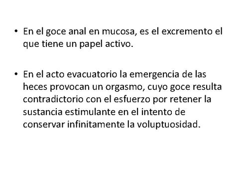 Etapa Anal Del 1 A Los 3 Aos