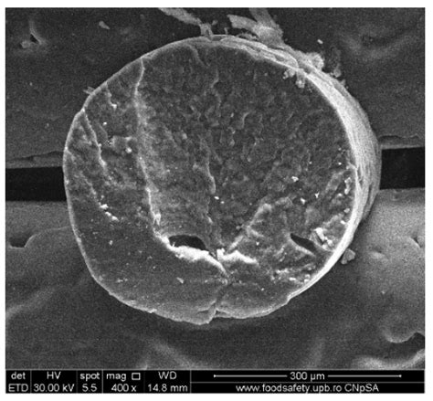 Three Dimensional Printed Composite Scaffolds Containing Poly ε Caprolactone And Strontium Doped