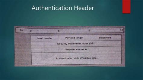 tcp header ip header authentication header ppt