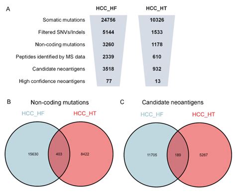 PGNneo A Proteogenomics Based Neoantigen Prediction Pipeline In Noncoding Regions PMC