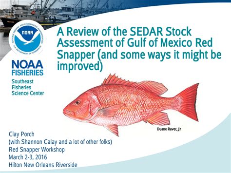 Pdf A Review Of The Sedar Stock Assessment Of Gulf Of Mexico Red Snapper And Some Ways It