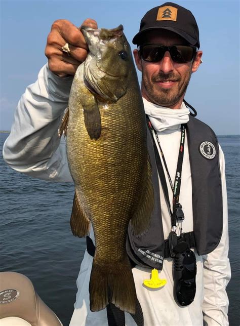 Pêche Dautomne 4 Conseils Pour Avoir Du Succès Avec Le Doré Et L