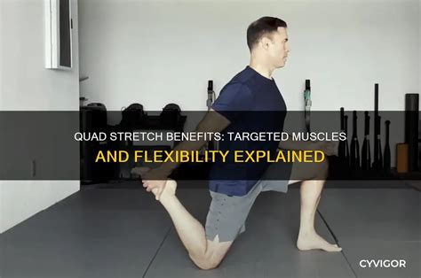 Quad Stretch Benefits Targeted Muscles And Flexibility Explained Cyvigor