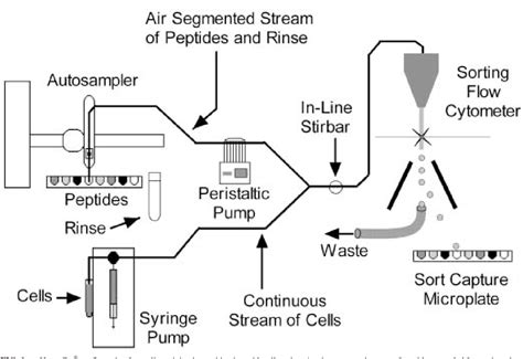 Figure 1 From High Throughput Microfluidic Mixing And Multiparametric Cell Sorting For Bioactive
