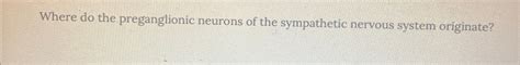 Solved Where Do The Preganglionic Neurons Of The Sympathetic