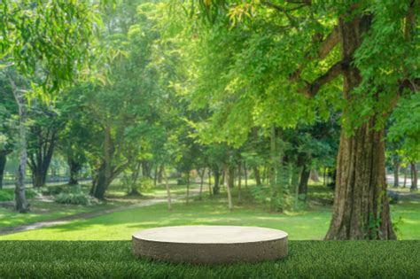 야외에서 콘크리트 연단 탁상 바닥 신선한 녹색 잎 열대 우림 자연 풍경 Backgroundhealthy 천연 제품 현재 배치