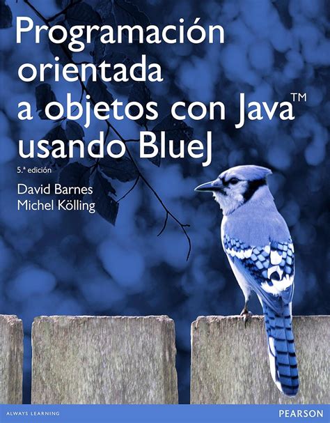 Programación Orientada A Objetos Usando Bluej 9788483227916 Books Amazon Ca